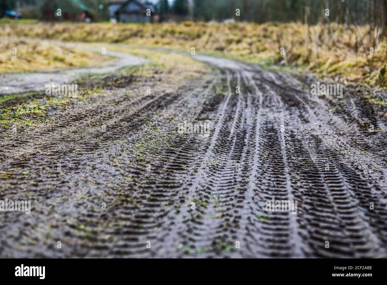 Car tracks on the road surface Stock Photo - Alamy