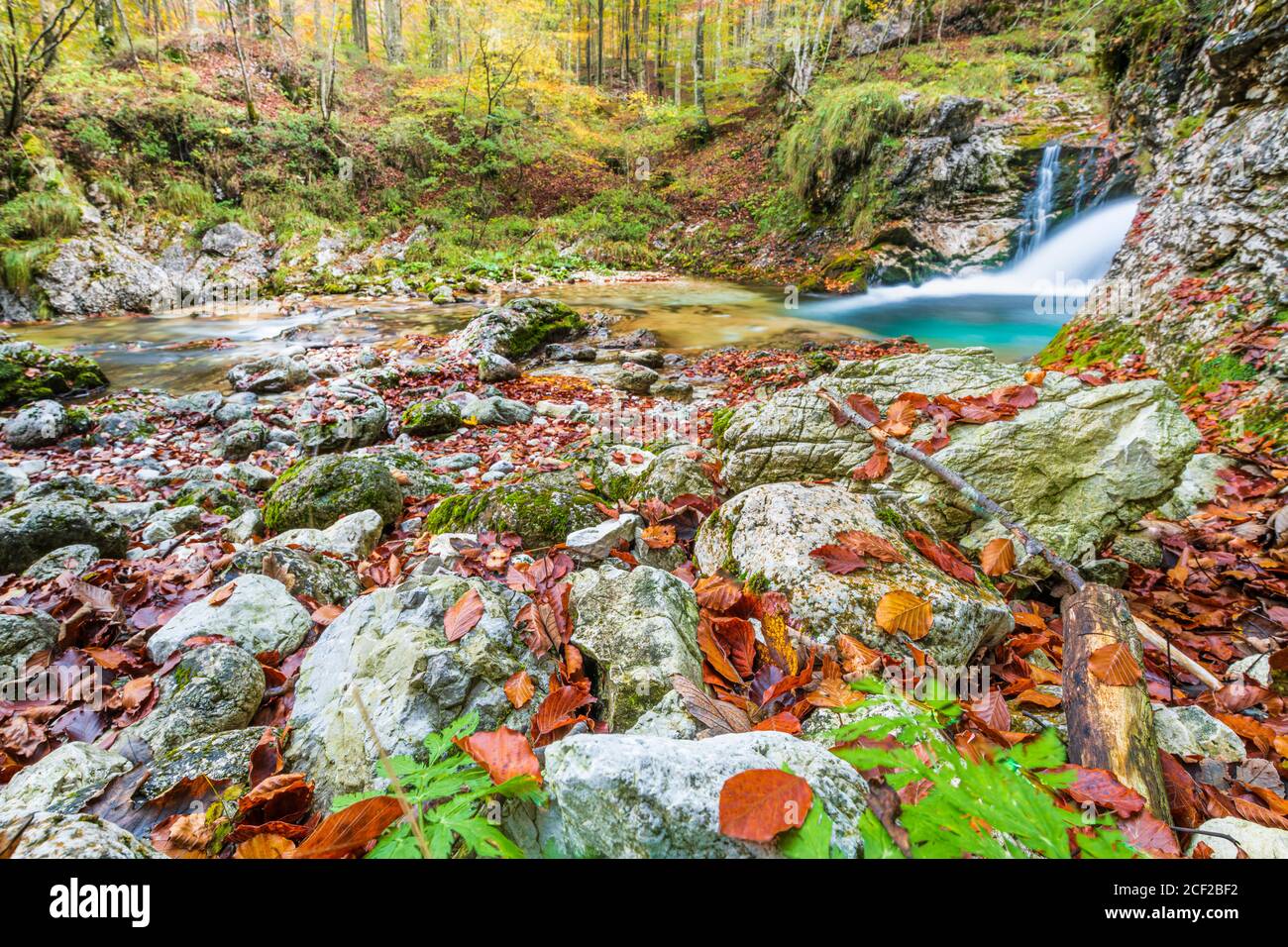 Autumn. Explosion of colors on the waterfalls and streams of the Val d ...