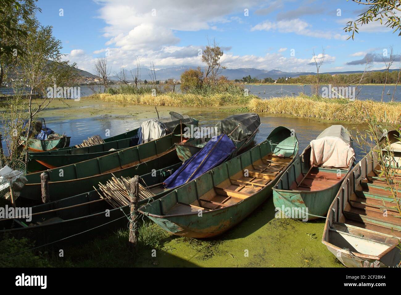 Er hai lake hi-res stock photography and images - Alamy