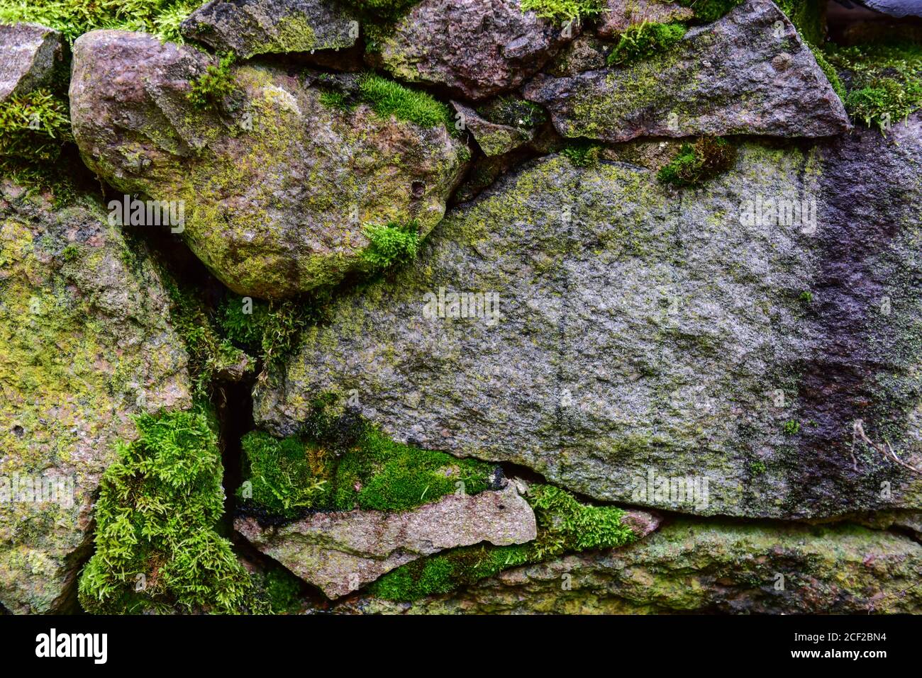 Stone and moss background. Photography for your design Stock Photo - Alamy