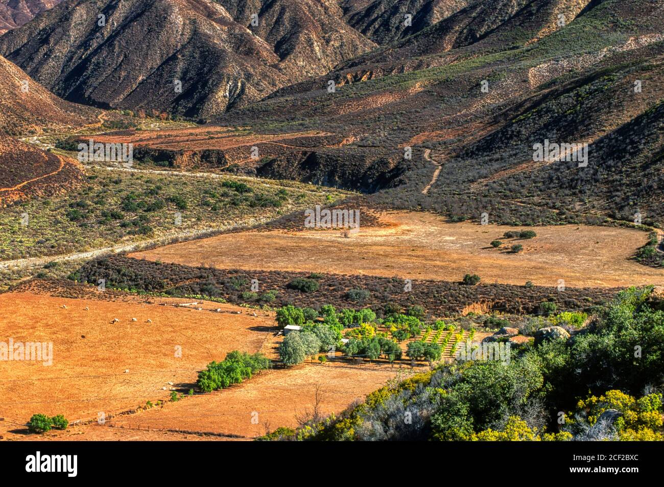 Mexican California Farm High Resolution Stock Photography and Images ...
