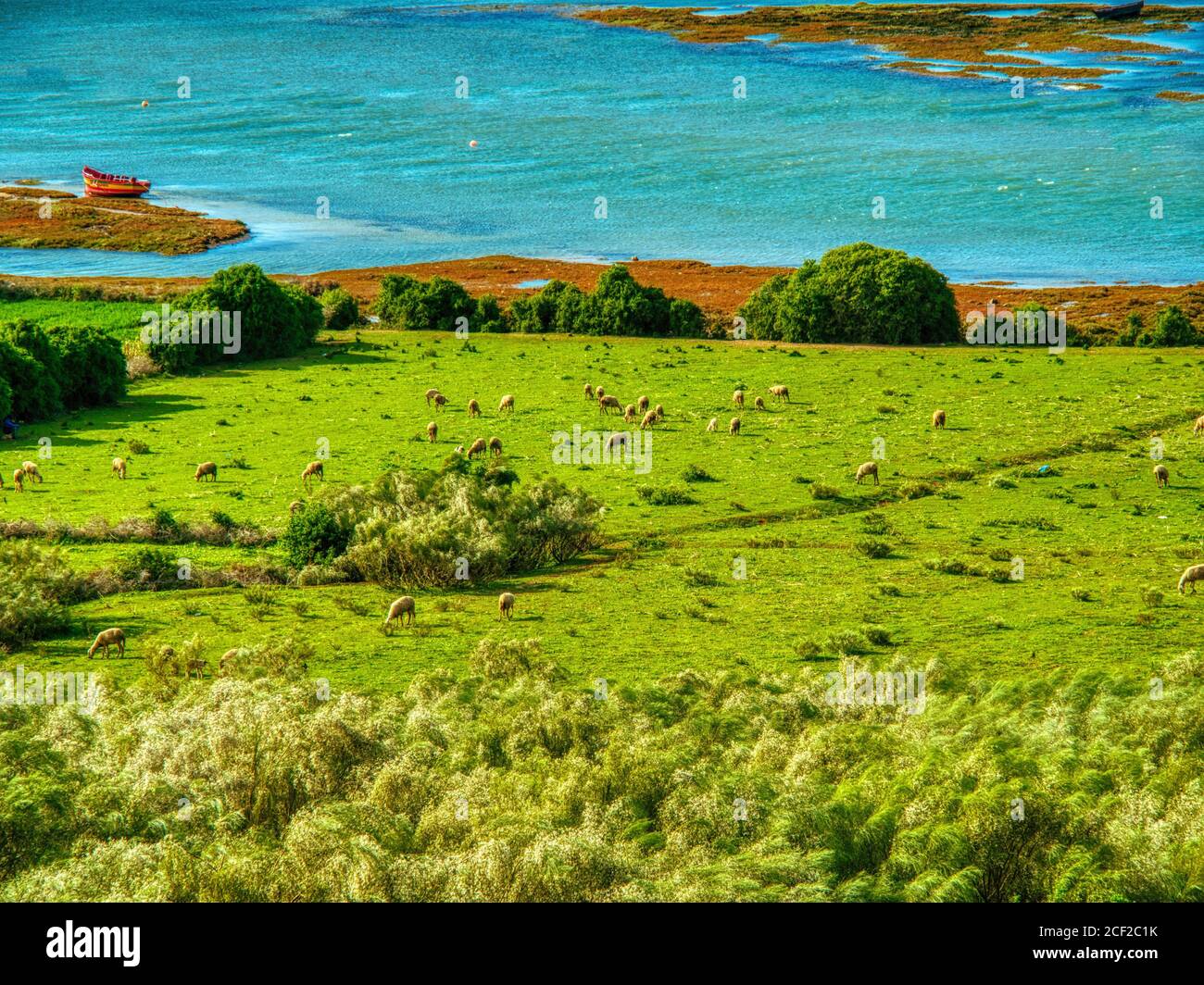 Oualidia High Resolution Stock Photography and Images - Alamy