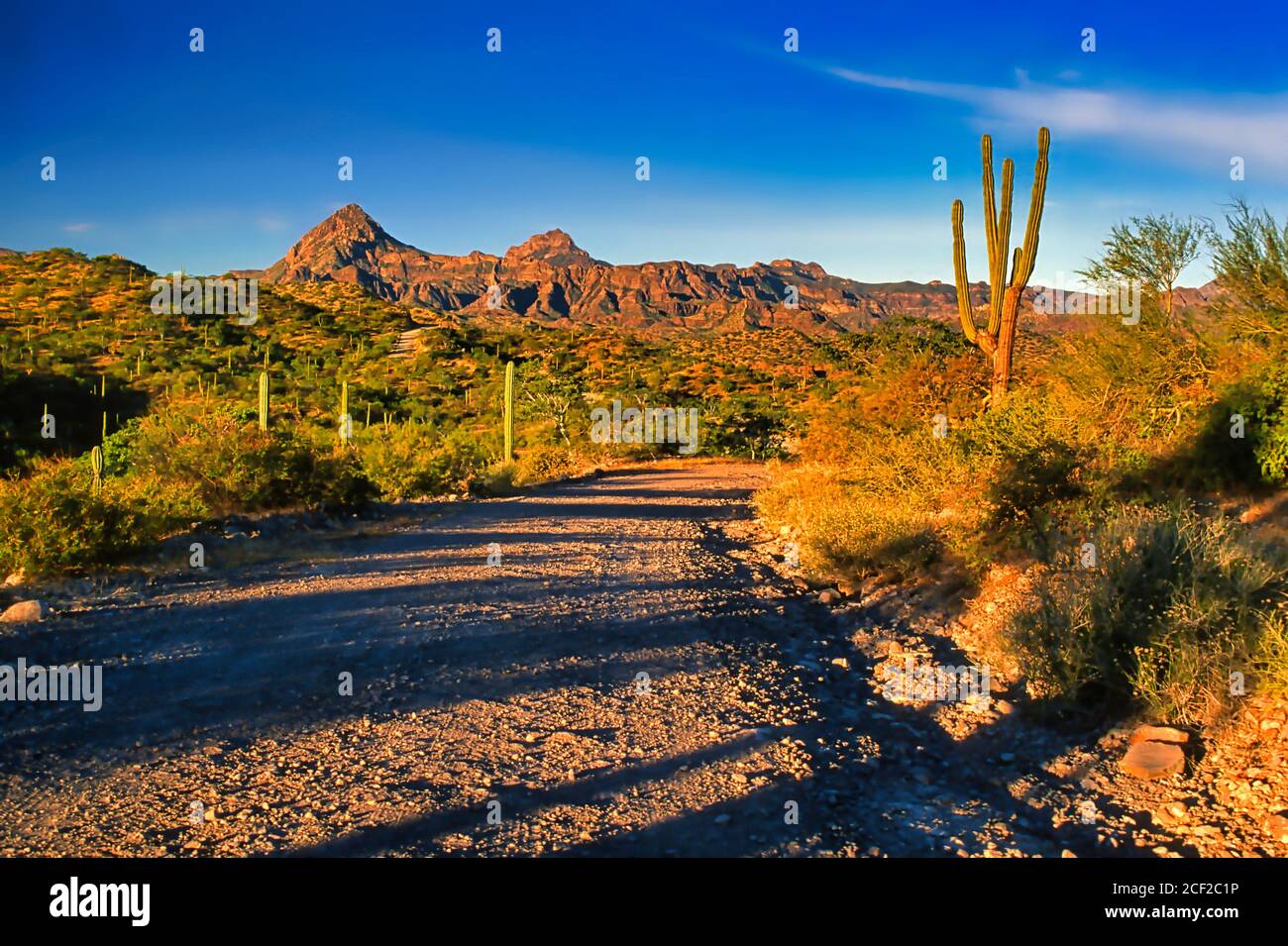 Saint Javier Road and Sierra de la Giganta, Baja California, Mexico ...