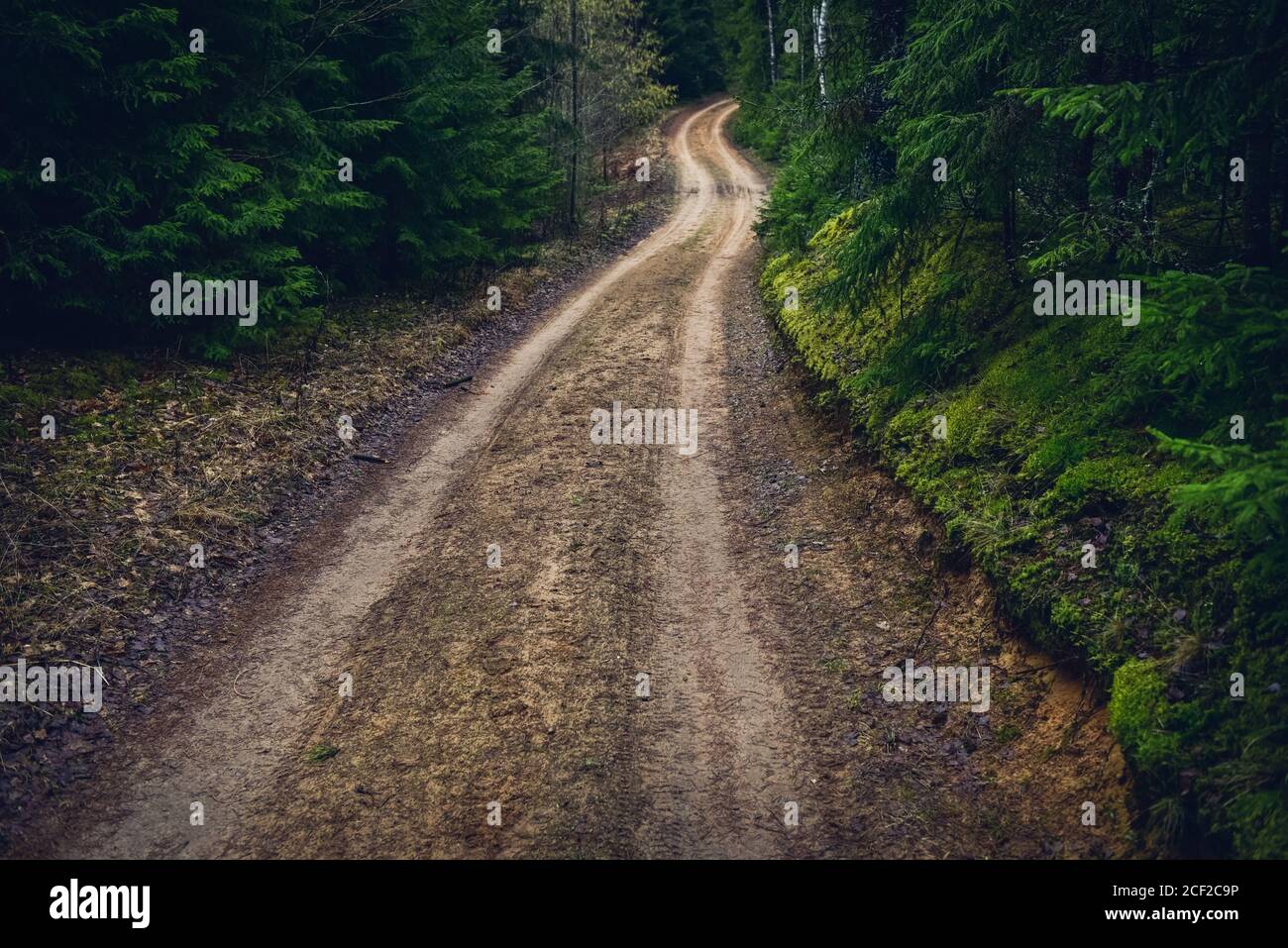 Therapeutic walk hi-res stock photography and images - Alamy