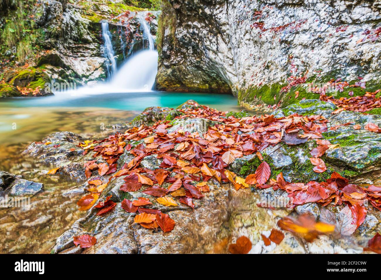 Autumn. Explosion of colors on the waterfalls and streams of the Val d ...