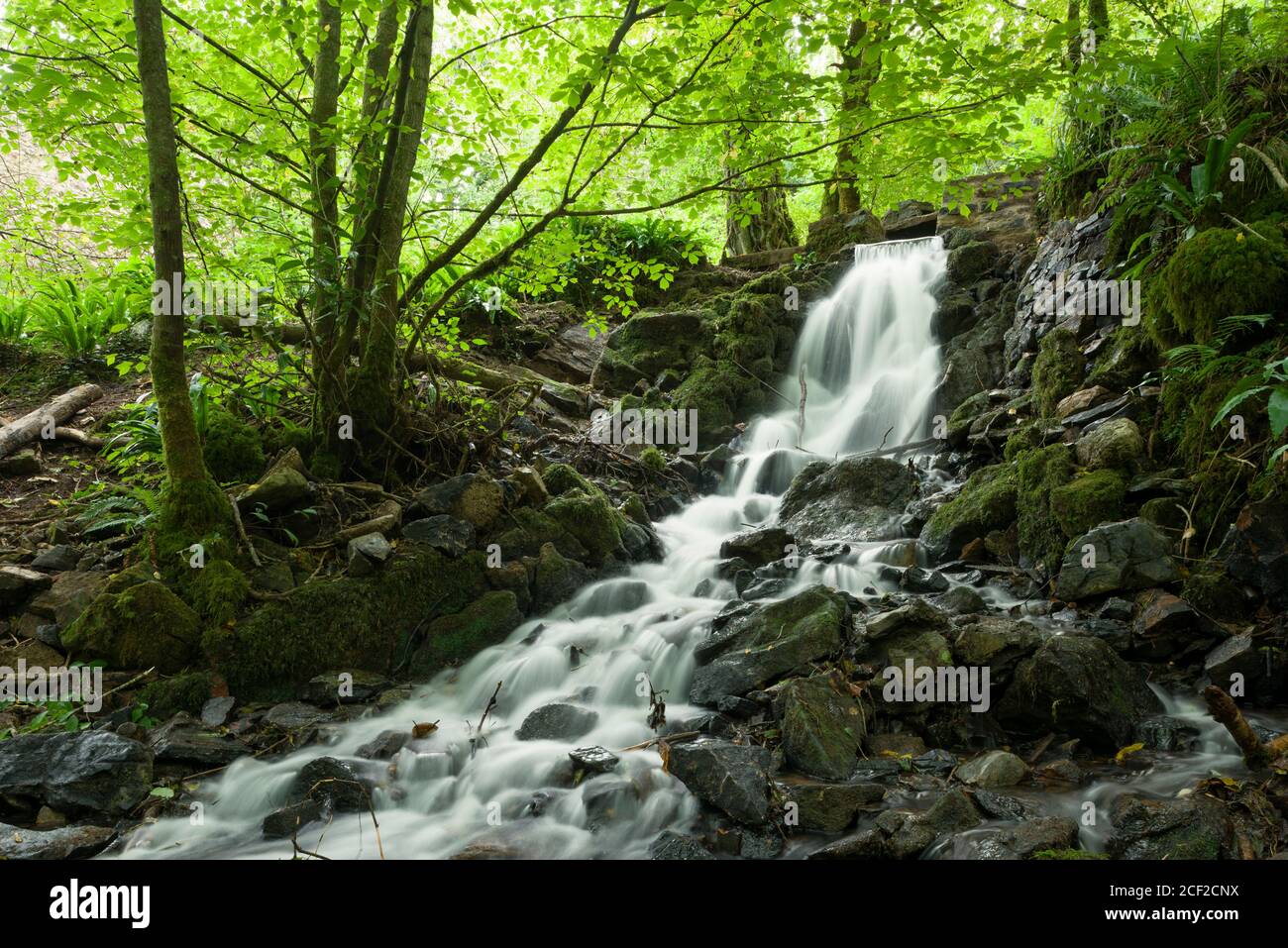 A waterfall flowing into the Mells River from the old leat, a remnant ...