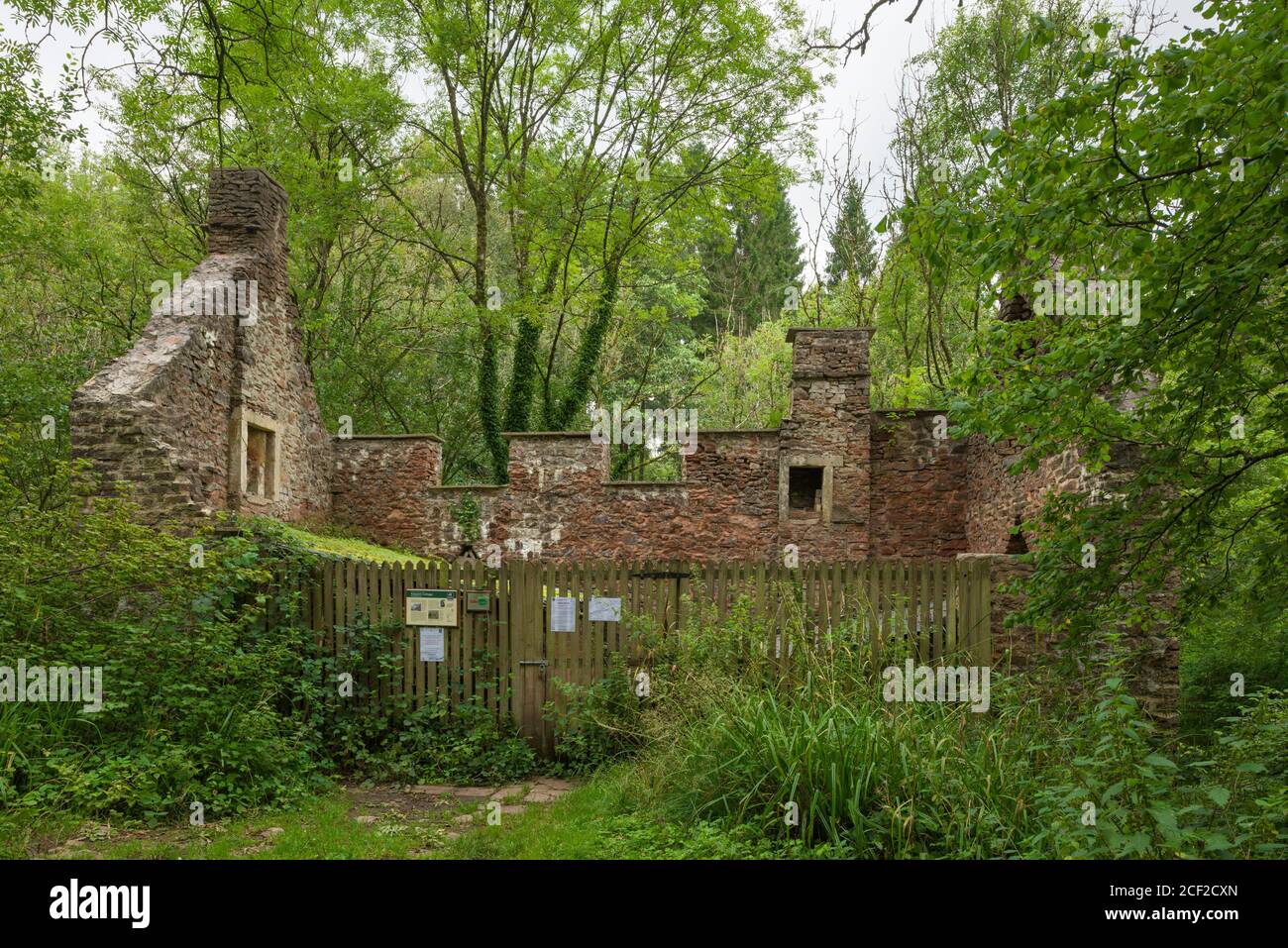 The ruin of Keepers Cottage in Harridge Wood Nature Reserve which is ...