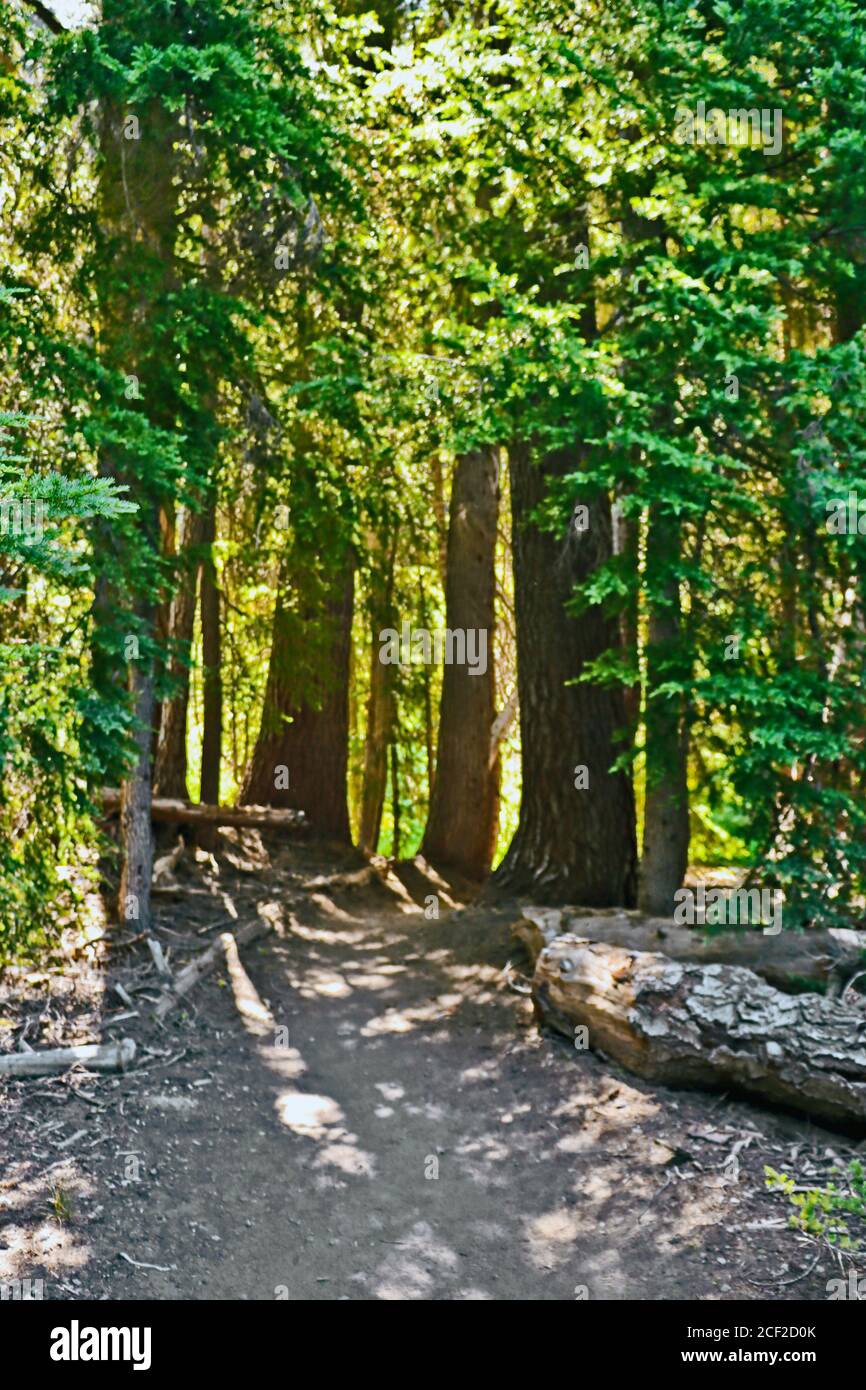Crater Lake Trail Oregon High Resolution Stock Photography and Images ...
