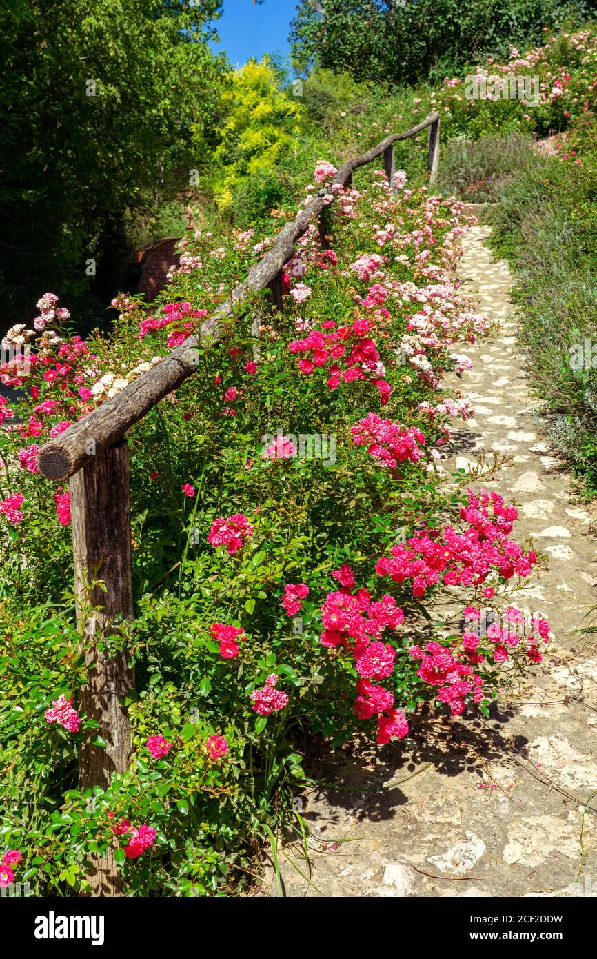 Beautiful walk way hi-res stock photography and images - Alamy