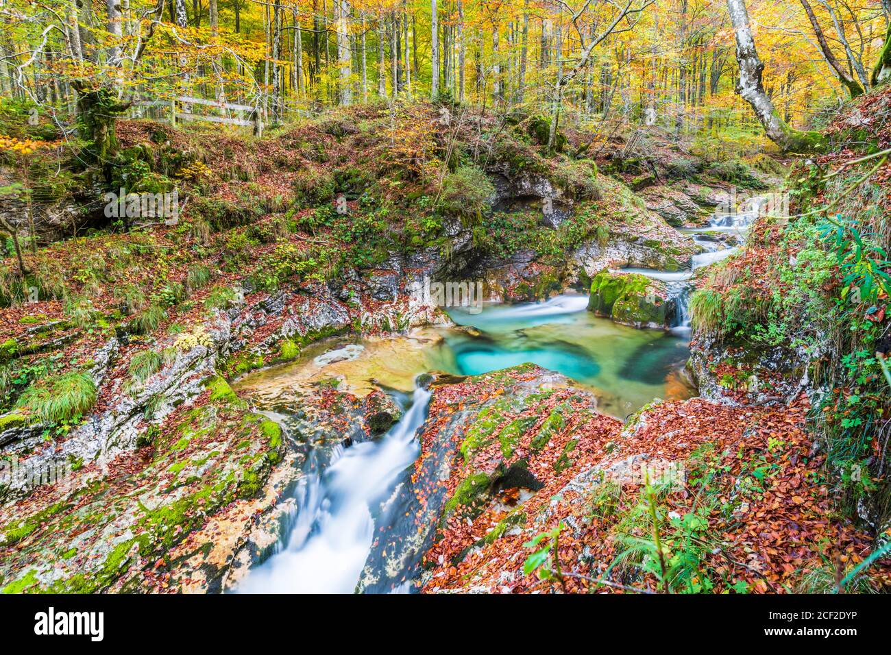 Autumn. Explosion of colors on the waterfalls and streams of the Val d ...