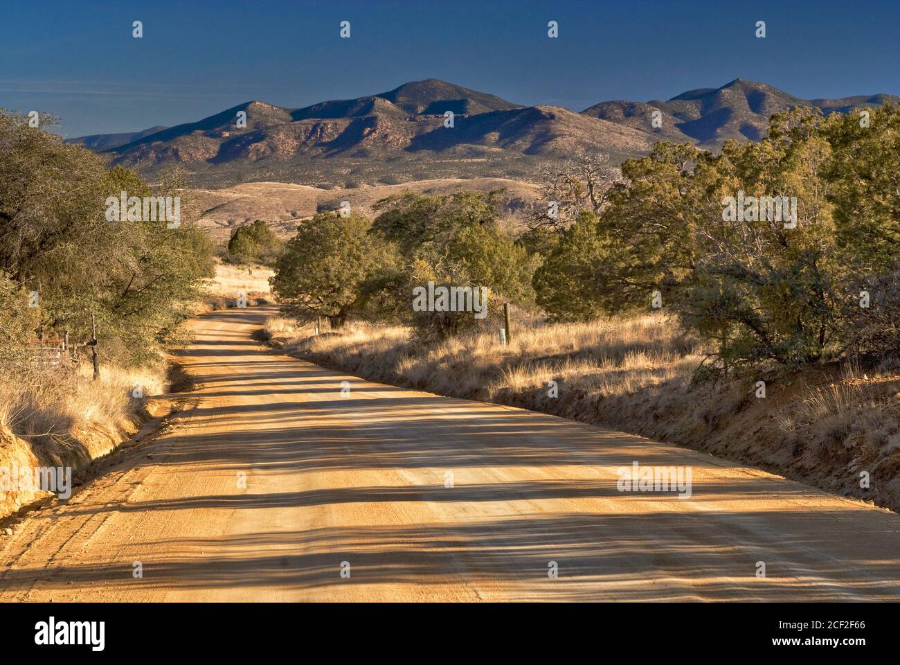 Little burro mountains hi-res stock photography and images - Alamy
