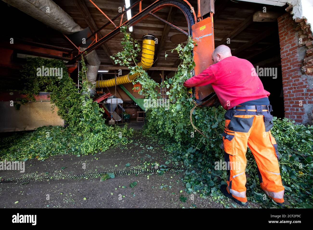 Hop picking machine hi-res stock photography and images - Alamy