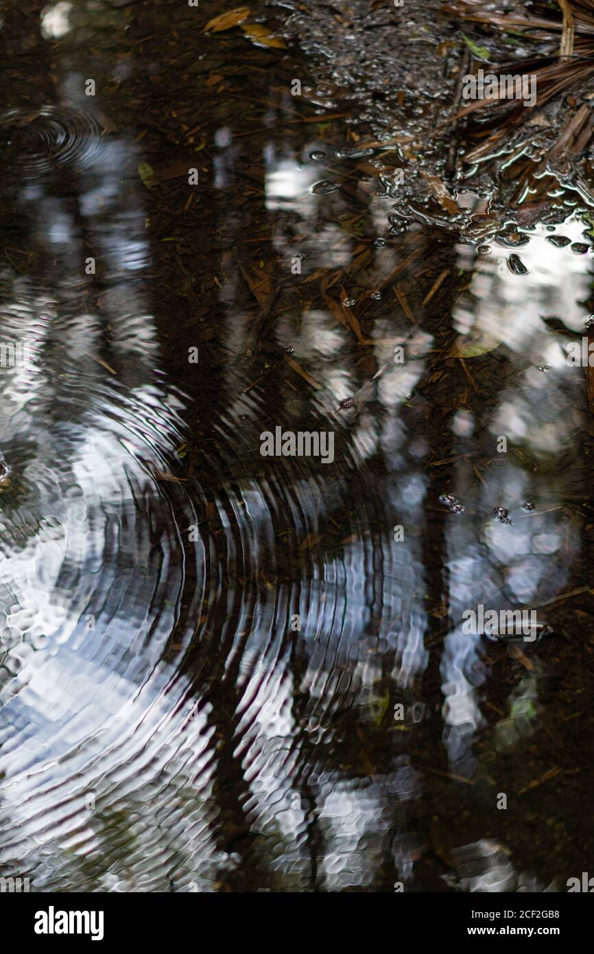 ripples in a puddle Stock Photo - Alamy