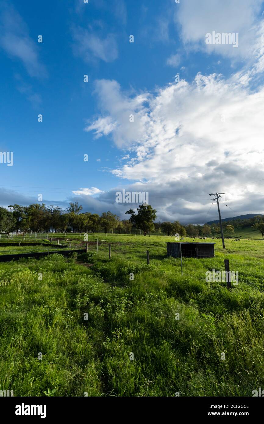 Afternoon on the farm Stock Photo - Alamy