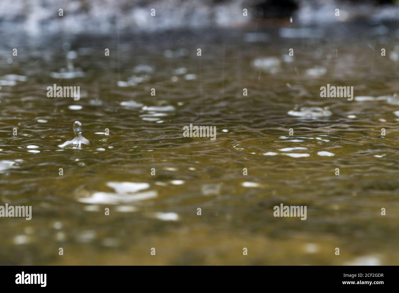 Body drops hi-res stock photography and images - Alamy