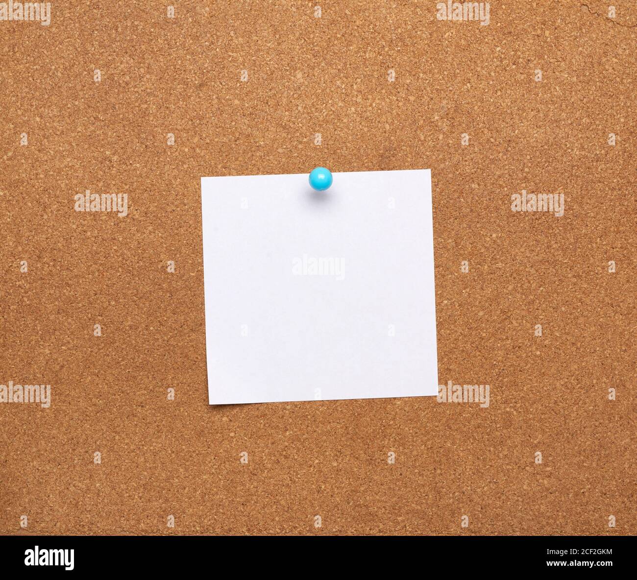 blank square white sheet of paper attached with blue button on a brown ...