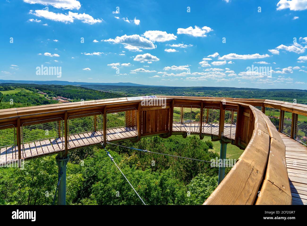 adventure over the woods and the city wooden tree crown path way trail ...