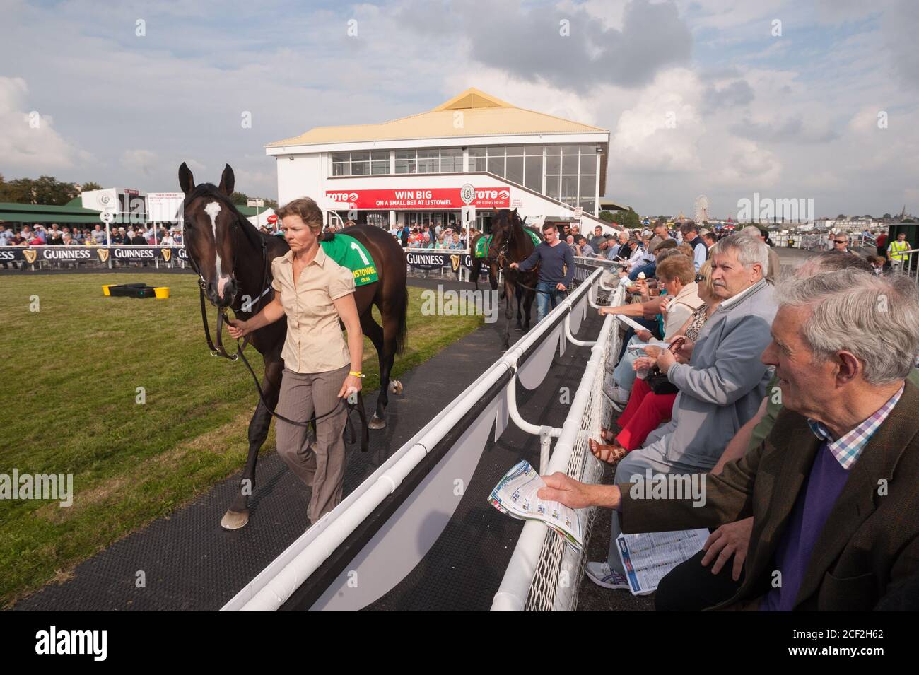 Listowel, Ireland - 15th September 2014: Race horses walking in the ...