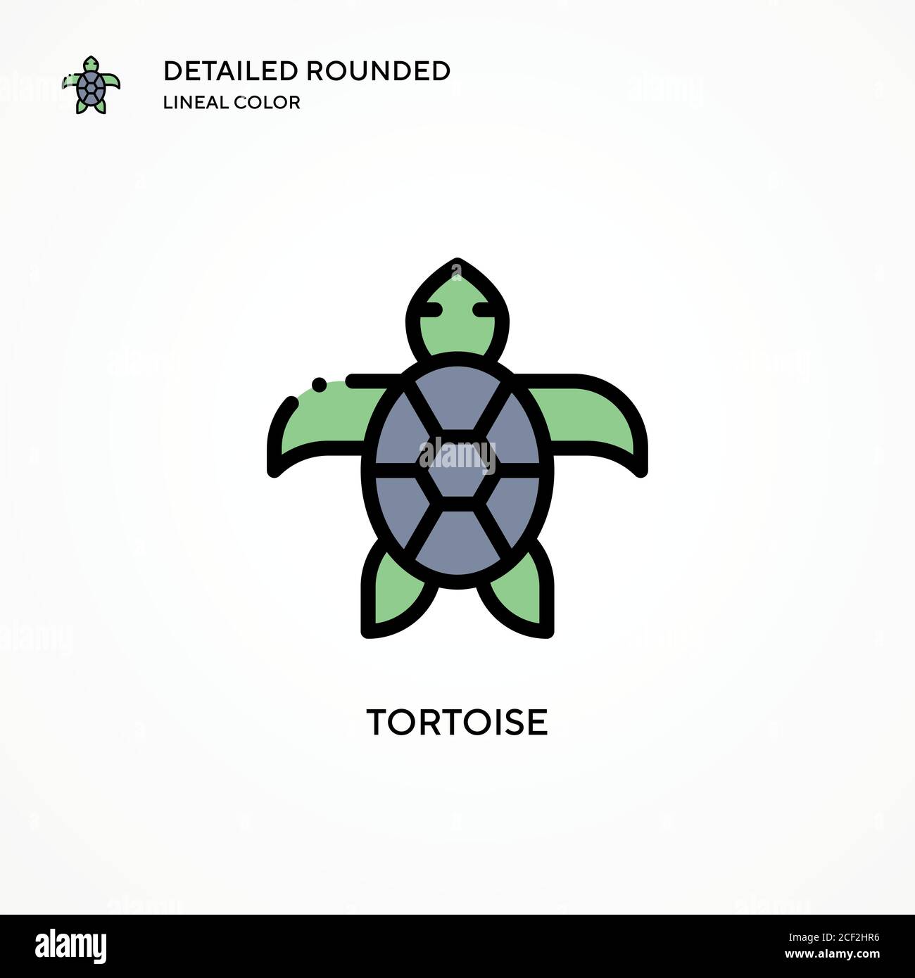Galapagos giant tortoise Stock Vector Images - Alamy
