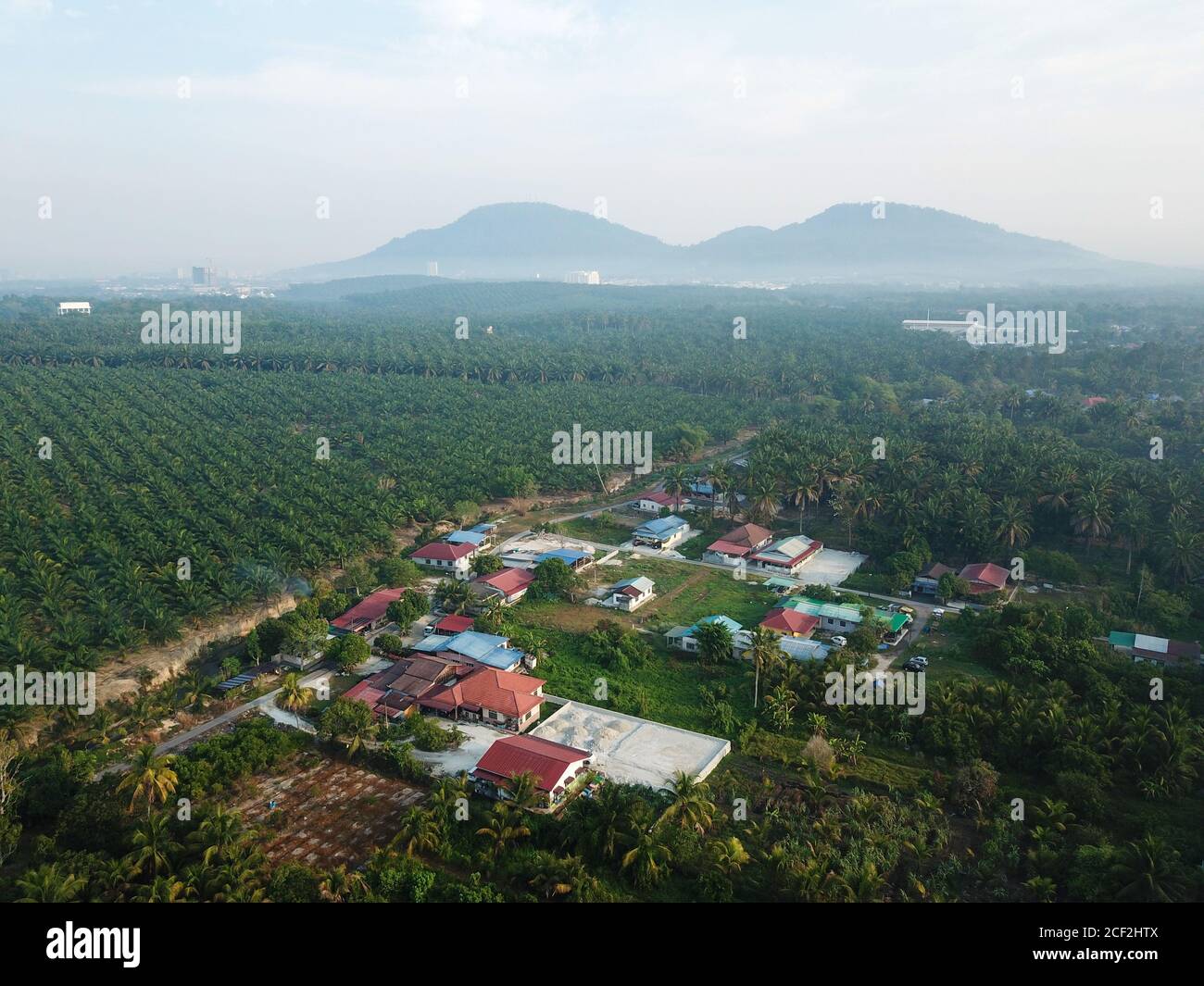 Aerial palm oil village hi-res stock photography and images - Alamy