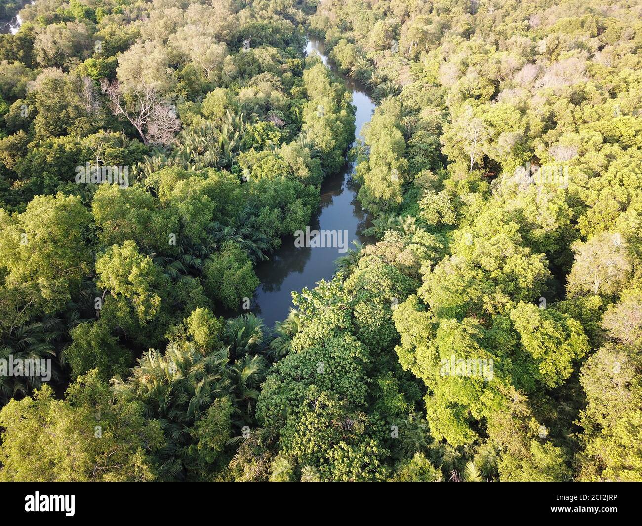 Aerial view green bush at Juru, Penang Stock Photo - Alamy