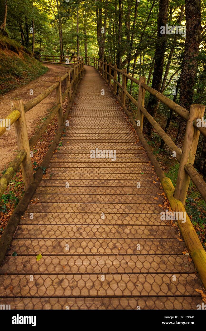 Creepy park pathway hi-res stock photography and images - Alamy
