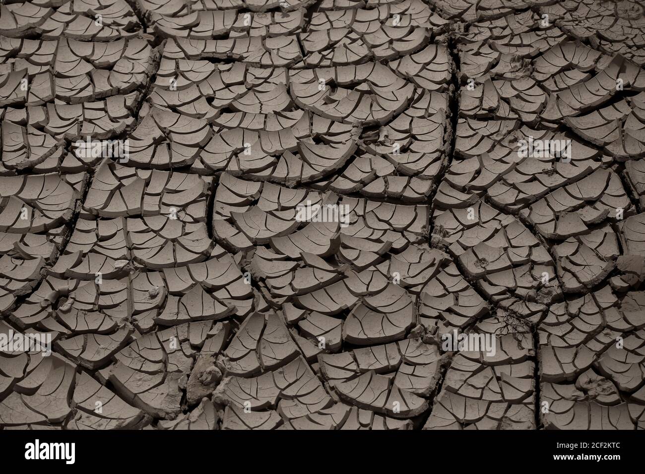 Dry and scaly desert land Dryt land Stock Photo - Alamy