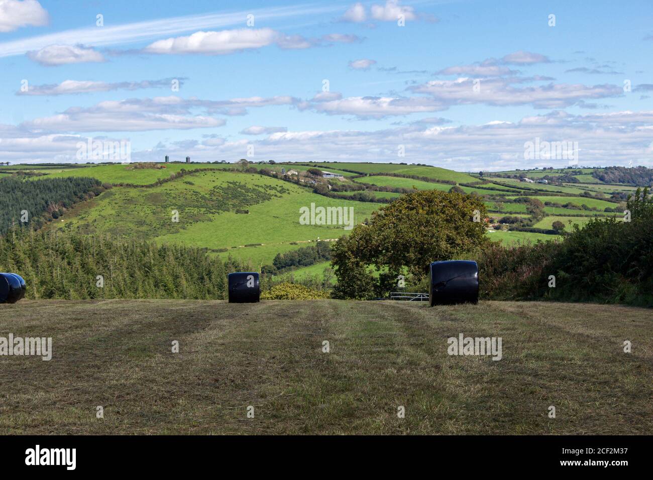 Bales hay silage haystack hi-res stock photography and images - Alamy