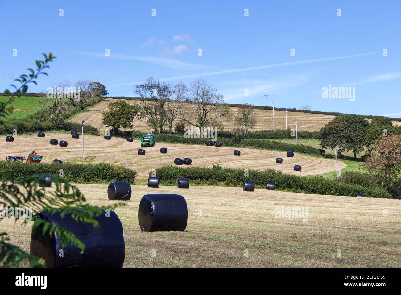 Bale of silage hi-res stock photography and images - Alamy