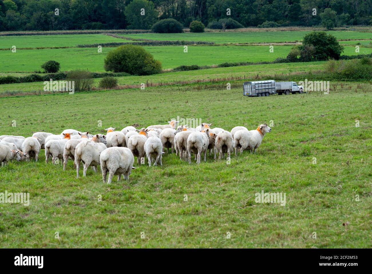 Daubed With Paint High Resolution Stock Photography and Images - Alamy