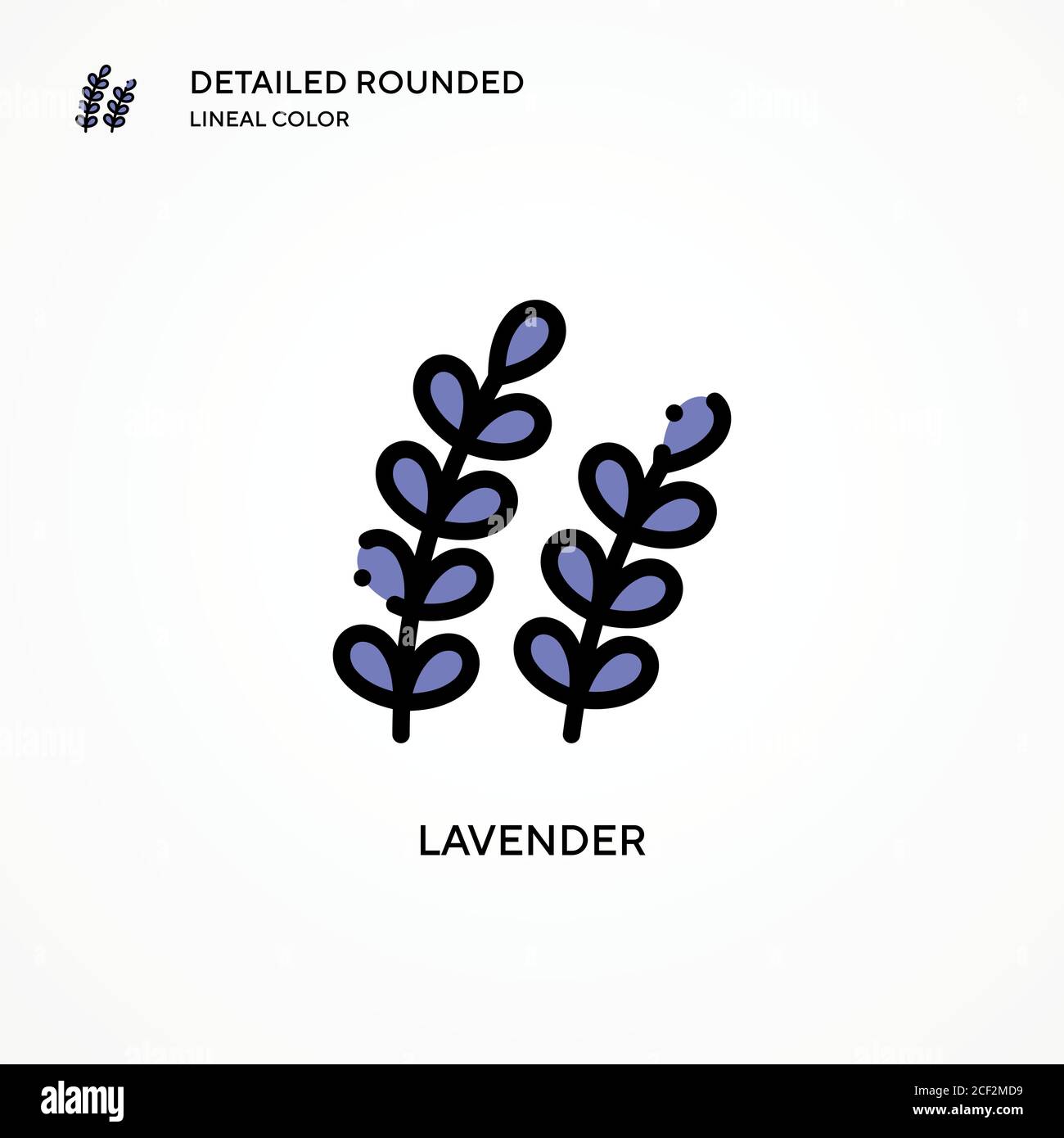 Lavender vector icon. Modern vector illustration concepts. Easy to edit ...