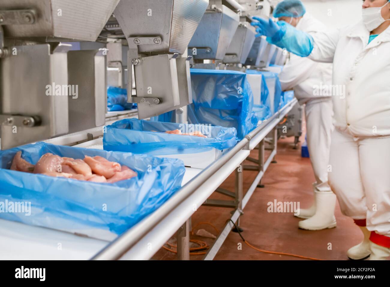 Meat Processing Plant High Resolution Stock Photography and Images - Alamy