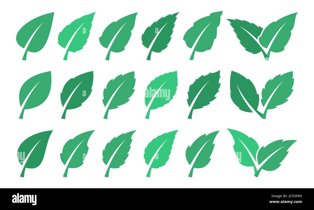 Green leaf set. Eco design Stock Vector Image & Art - Alamy