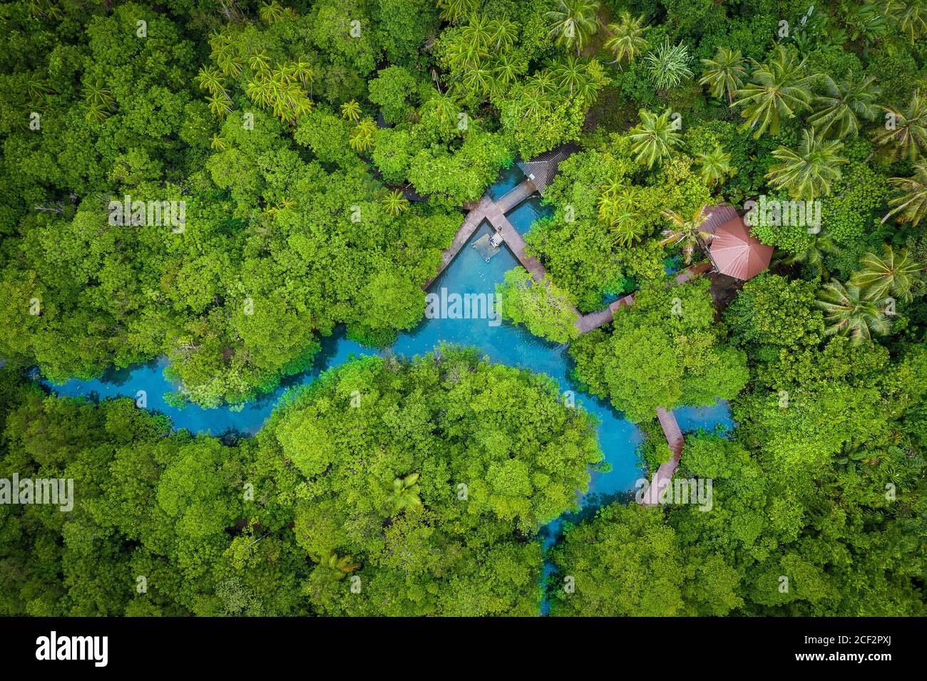 Aerial view image of Tha Pom Klong Song Nam mangrove forest or Emerald ...