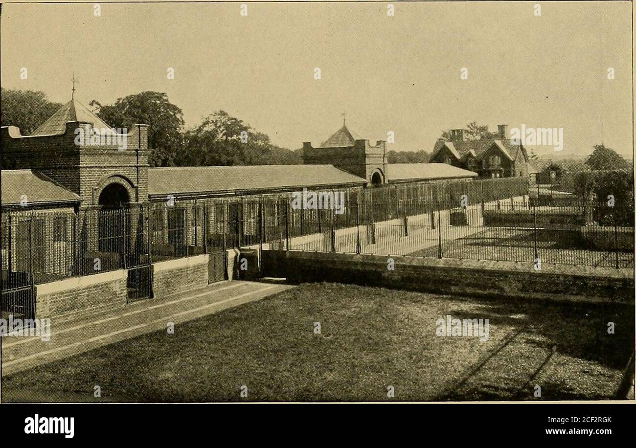 Kinsky prince hi-res stock photography and images - Alamy