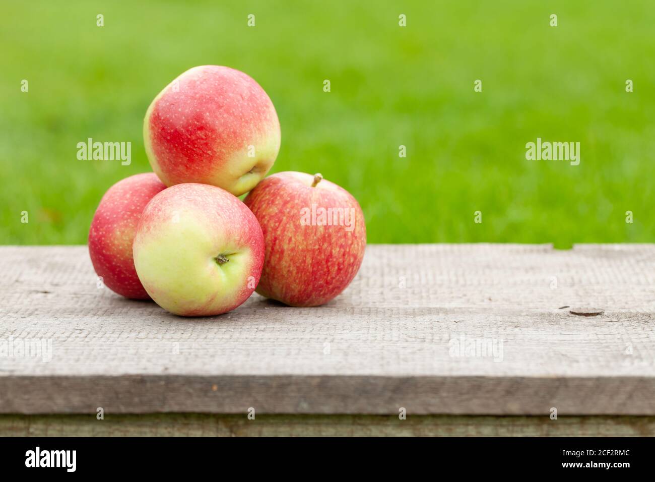 Ripe garden apple fruits on wooden outdoor table with copy space Stock ...
