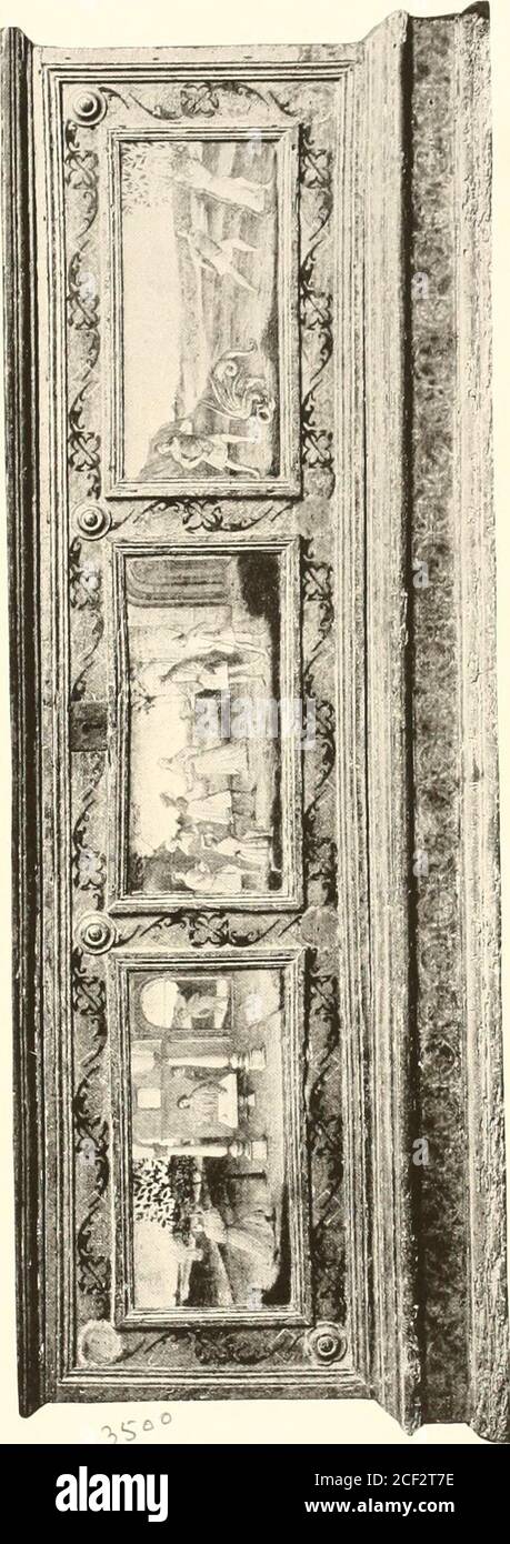 Daphne apollo laurel tree hi-res stock photography and images - Alamy