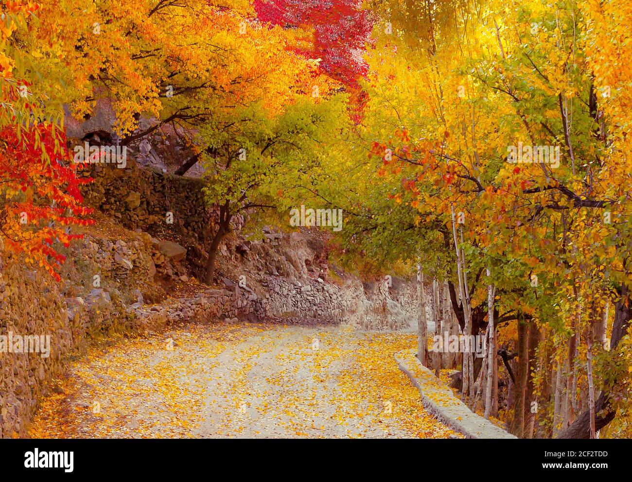 autumn in northern areas of Pakistan Stock Photo - Alamy