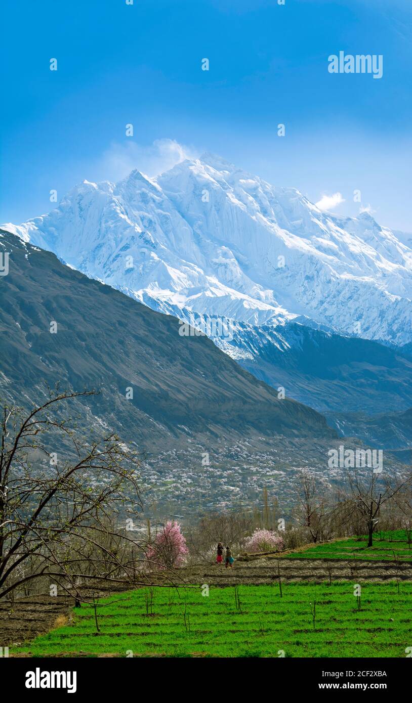 spring season in north Pakistan Stock Photo - Alamy