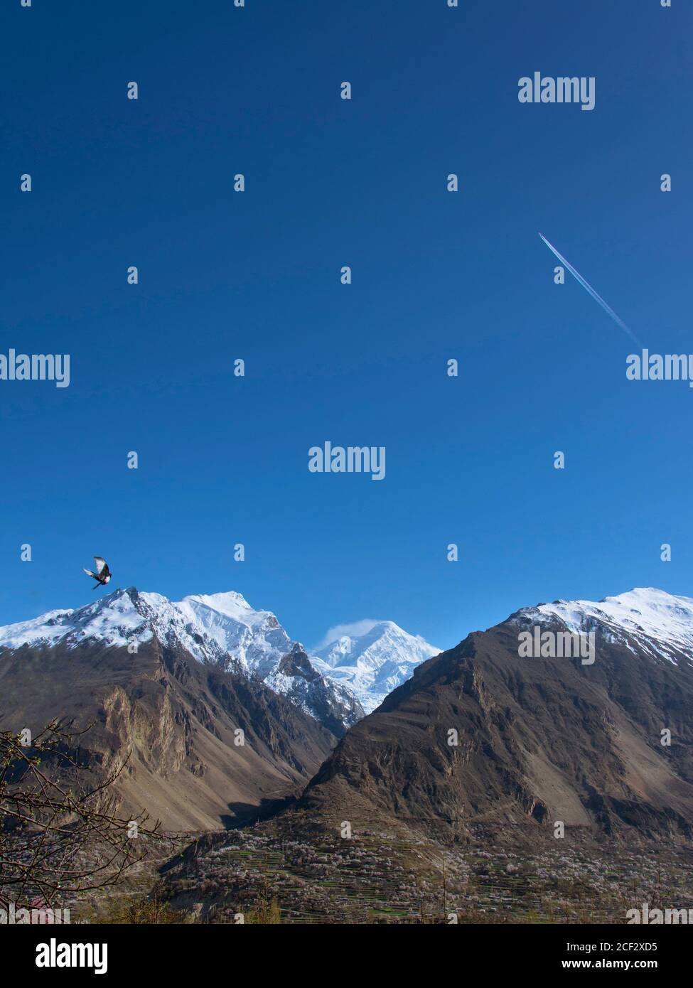 Diran hi-res stock photography and images - Alamy