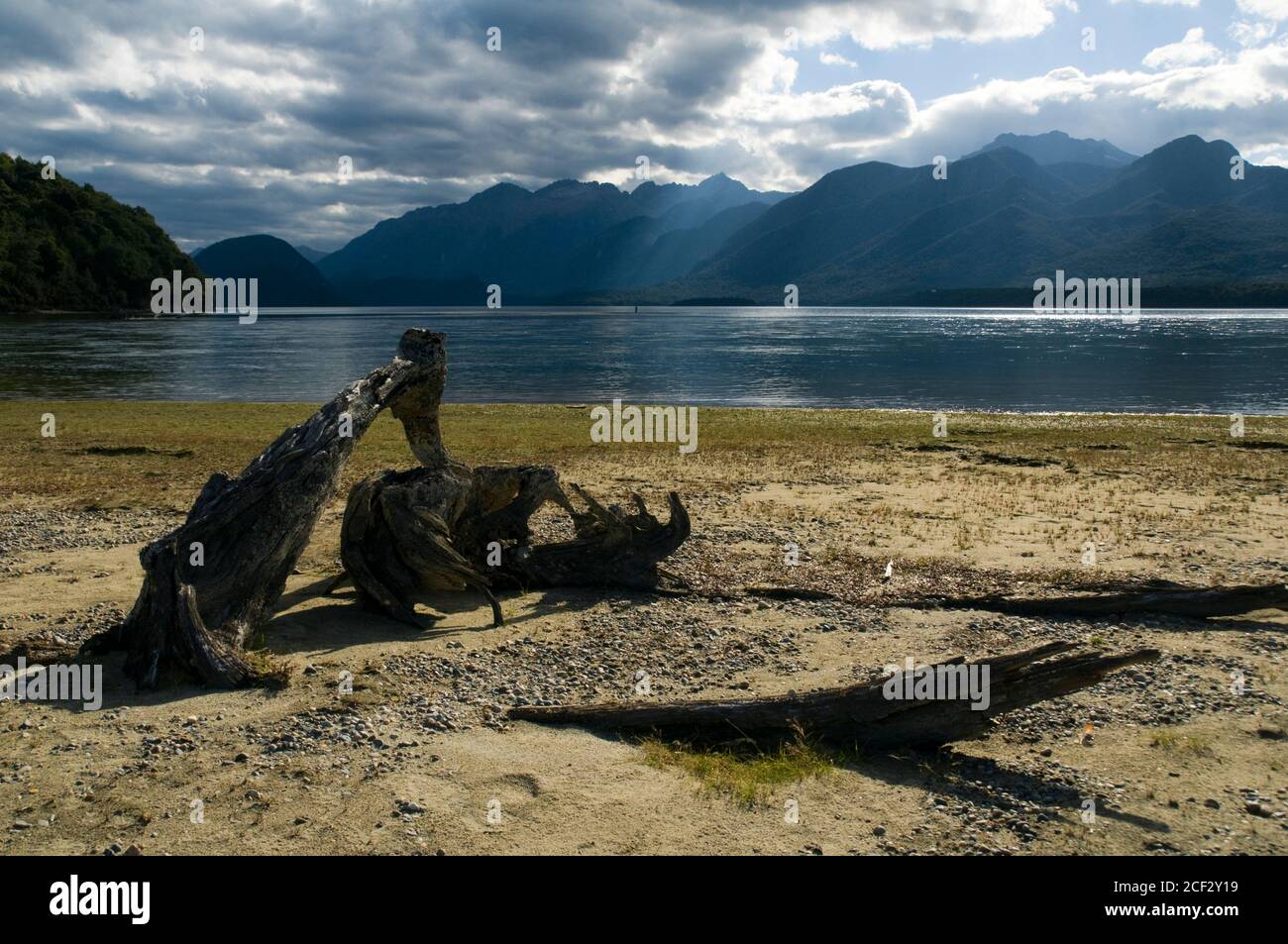 Lake Manapouri from Shallow Bay, Kepler Track, South Island, New ...