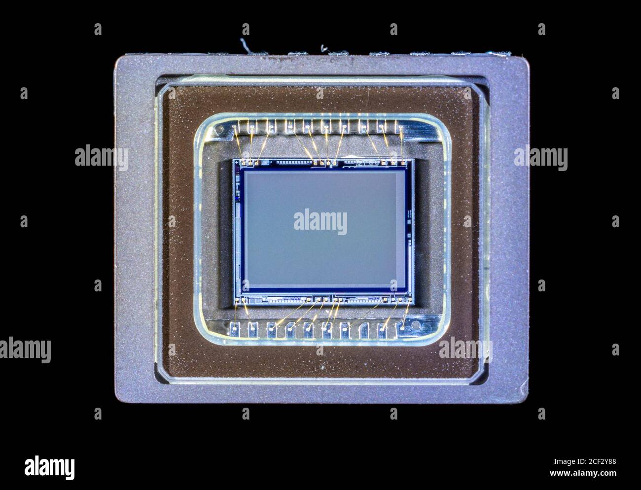 Close-up of a Sony ICX039 CCD solid-state image sensor chip from a ...
