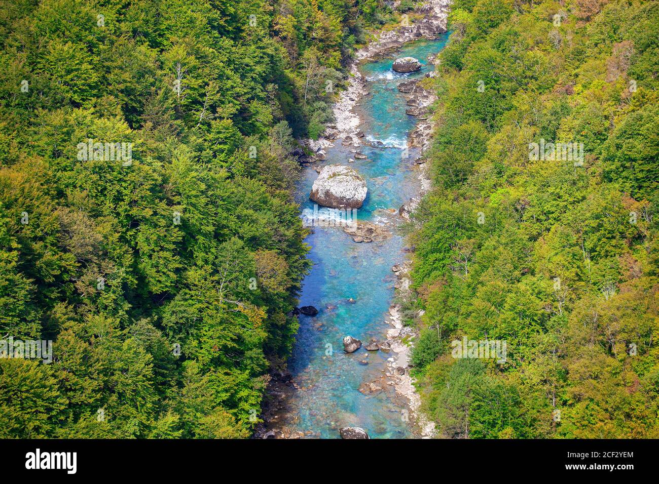 Mountain river flows through the forest . Aerial view of Tara river in Montenegro Stock Photo ...