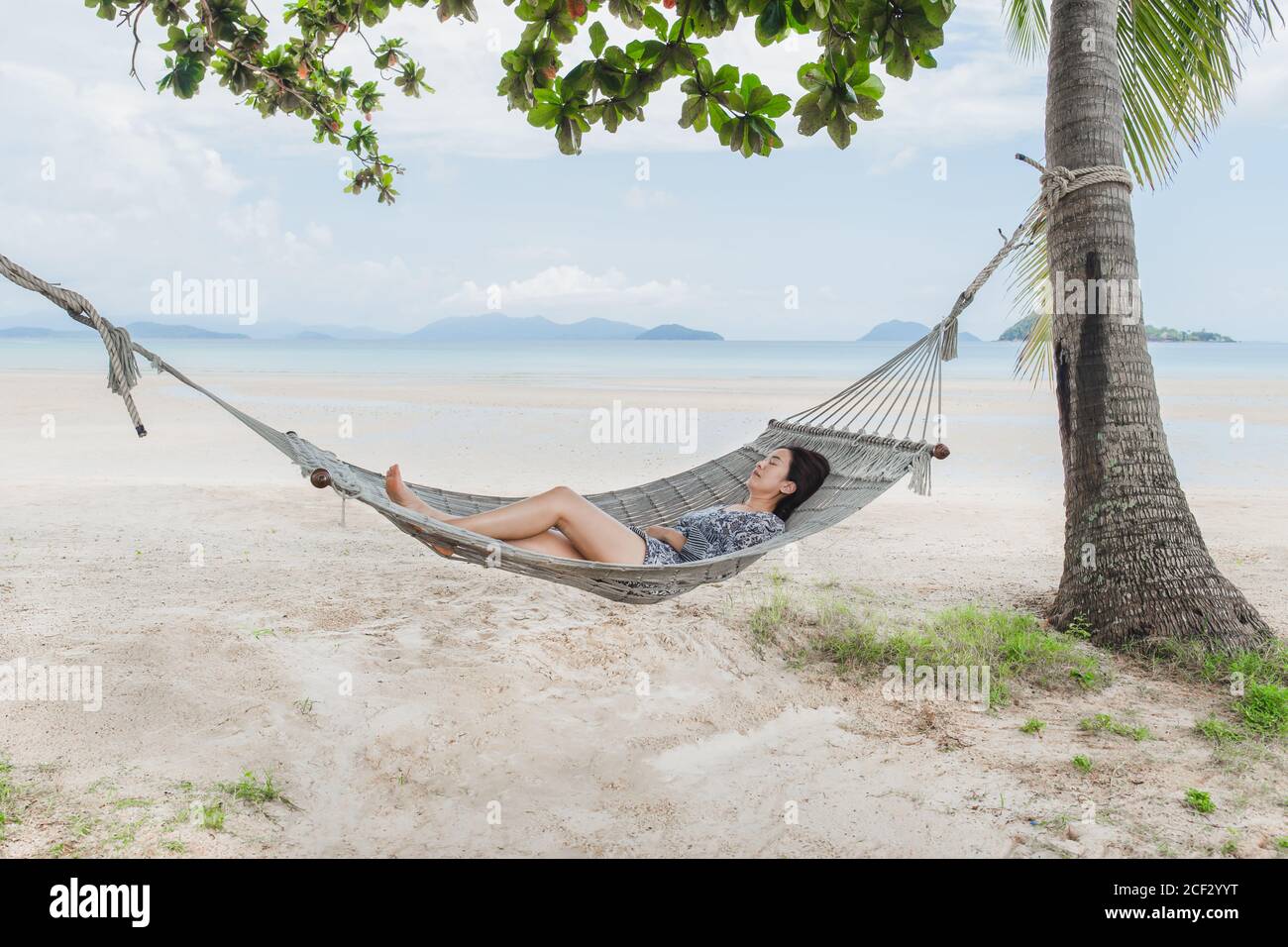 Tree beach sleep hi-res stock photography and images - Alamy