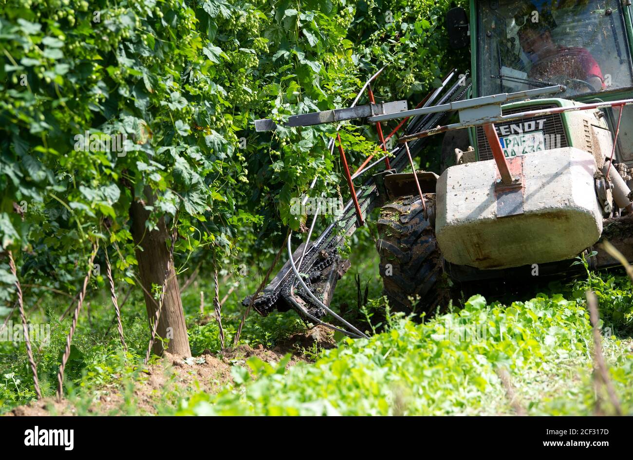 Harvesters harvest hi-res stock photography and images - Alamy
