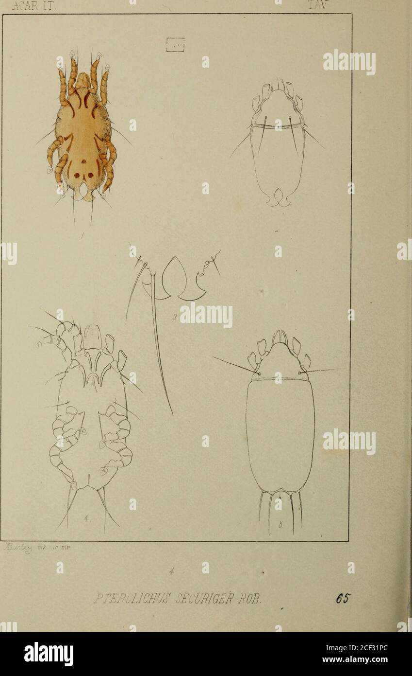 Factus hi-res stock photography and images - Alamy