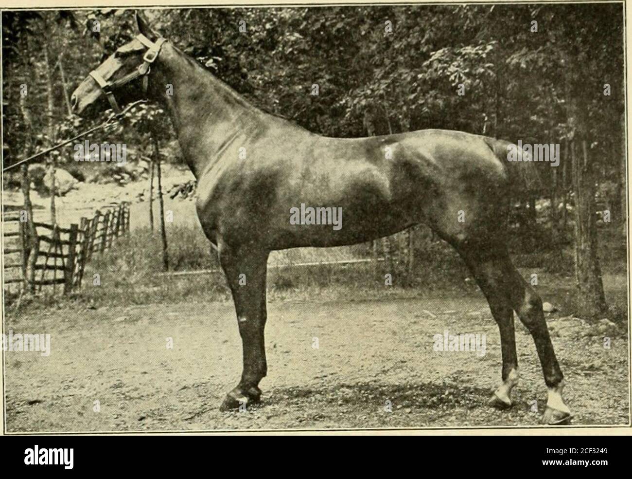 G withers hi-res stock photography and images - Alamy