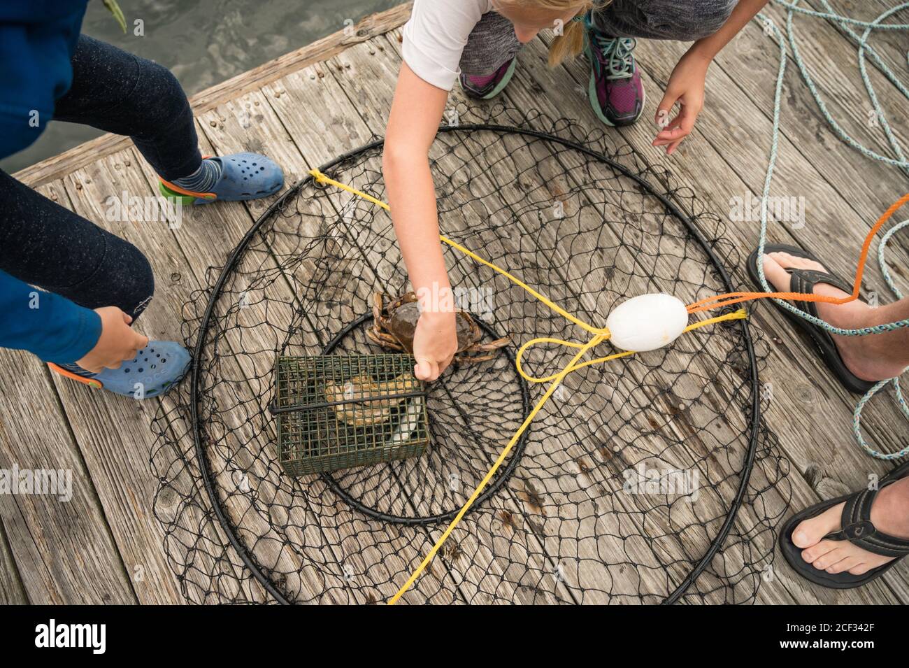 Circular crab trap on wooden dock surrounded by hands and feet Stock ...