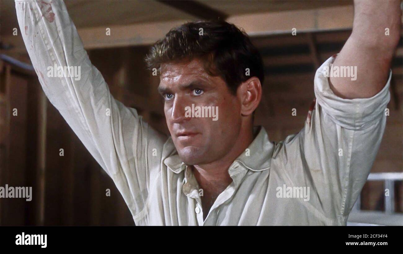 Rod Taylor The Birds