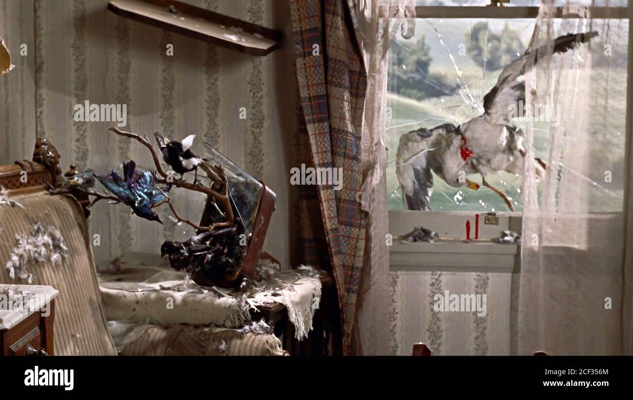 Alfred hitchcock the birds still hi-res stock photography and images ...